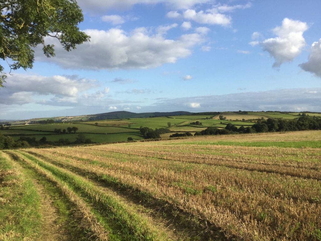 The Open Study Centre | Conflict Resolution, Ethics and Understanding ...